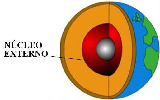 Musculos Do Nucleo Externo